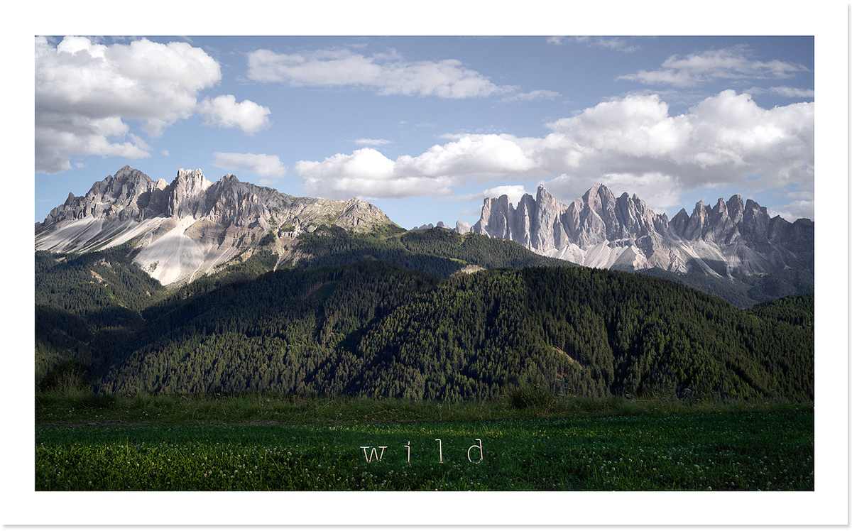 Anne Valverde - Bel-Air Fine Art