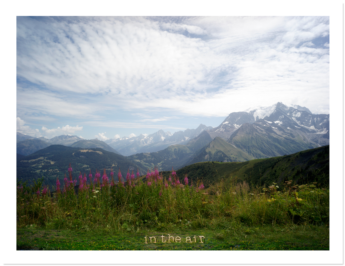 Anne Valverde - Bel-Air Fine Art